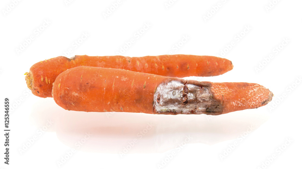 Rotten carrot isolated on white background Stock Photo | Adobe Stock