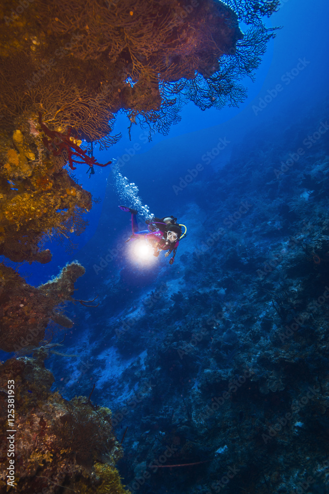 A vertical image of a female SCUBA Diver with a dive light exploring a ...
