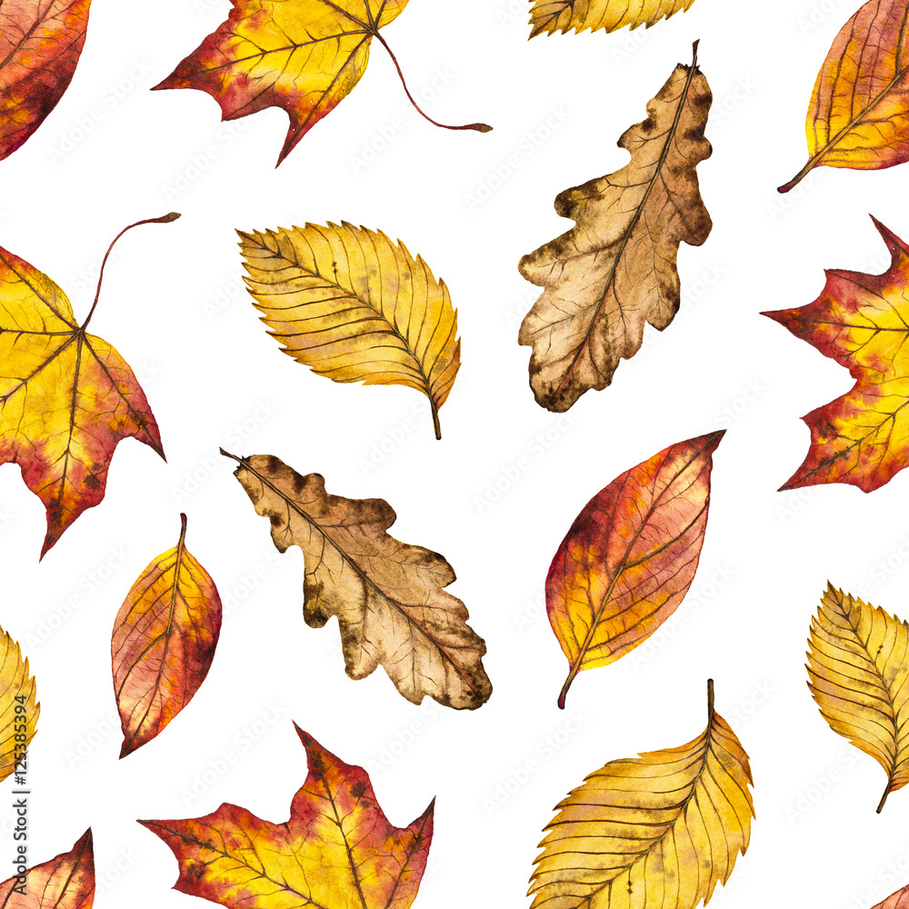 Seamless watercolor autumn pattern of leaves oak, maple, elm, watercolour background of yellow ...