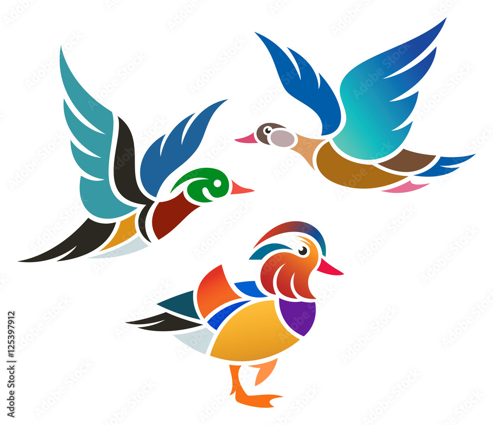 Stylized Ducks - Wood Duck, Mandarin Duck, Brazilian Teal Stock Vector ...