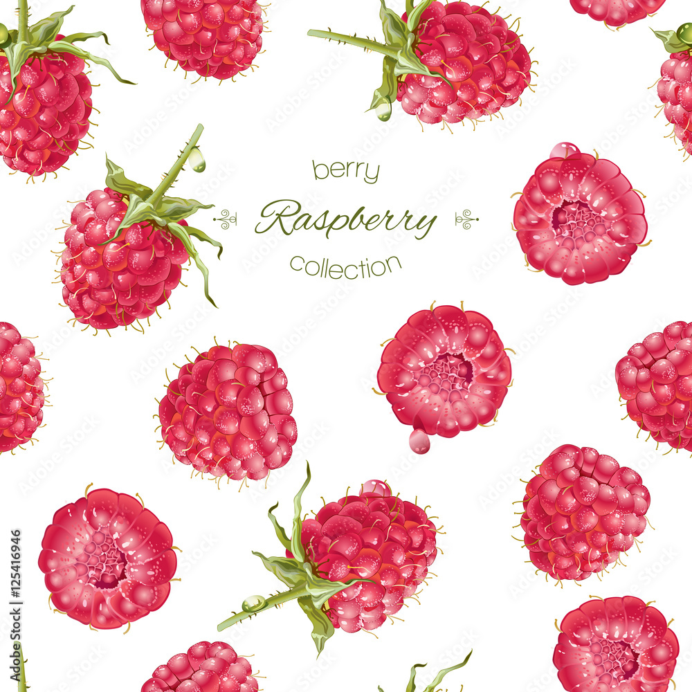 Vector raspberry pattern Stock Vector | Adobe Stock