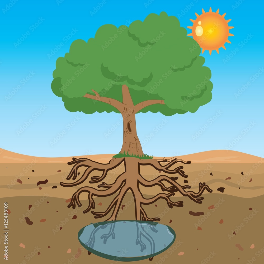 Oasis in the desert. Tree with underearth water. Stock Vector | Adobe Stock
