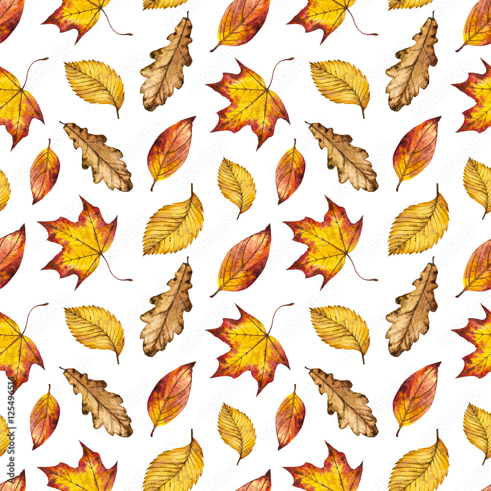 Seamless watercolor pattern of leaves oak, maple, elm, watercolour autumn background of yellow ...