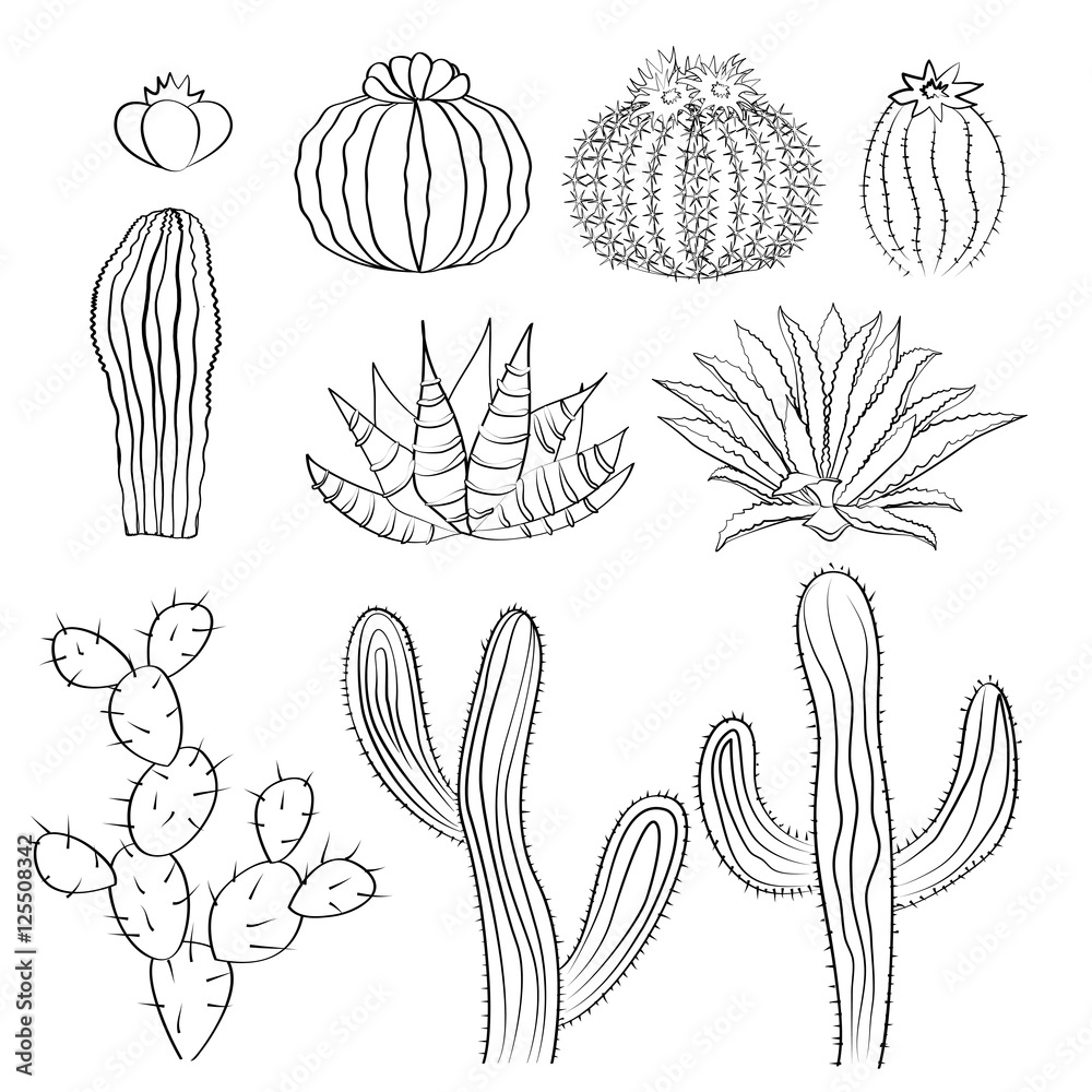 Hand drawn cactus sketch set. Cacti, prickly pear, and agave Stock ...