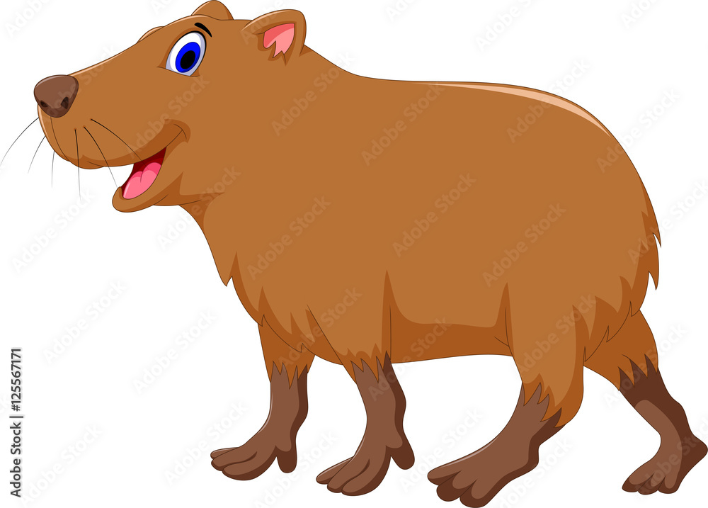 cute capybara cartoon Stock Illustration | Adobe Stock