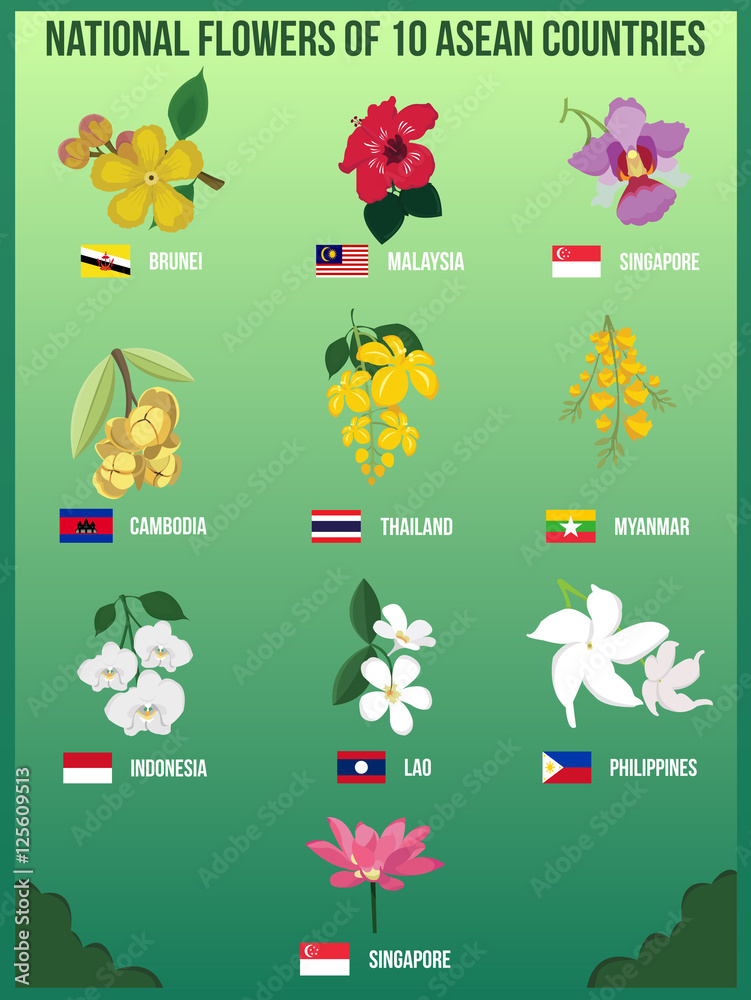 National Flowers Of AEC Stock Vector Adobe Stock national-flowers-of-aec-stock-vector-adobe-stock