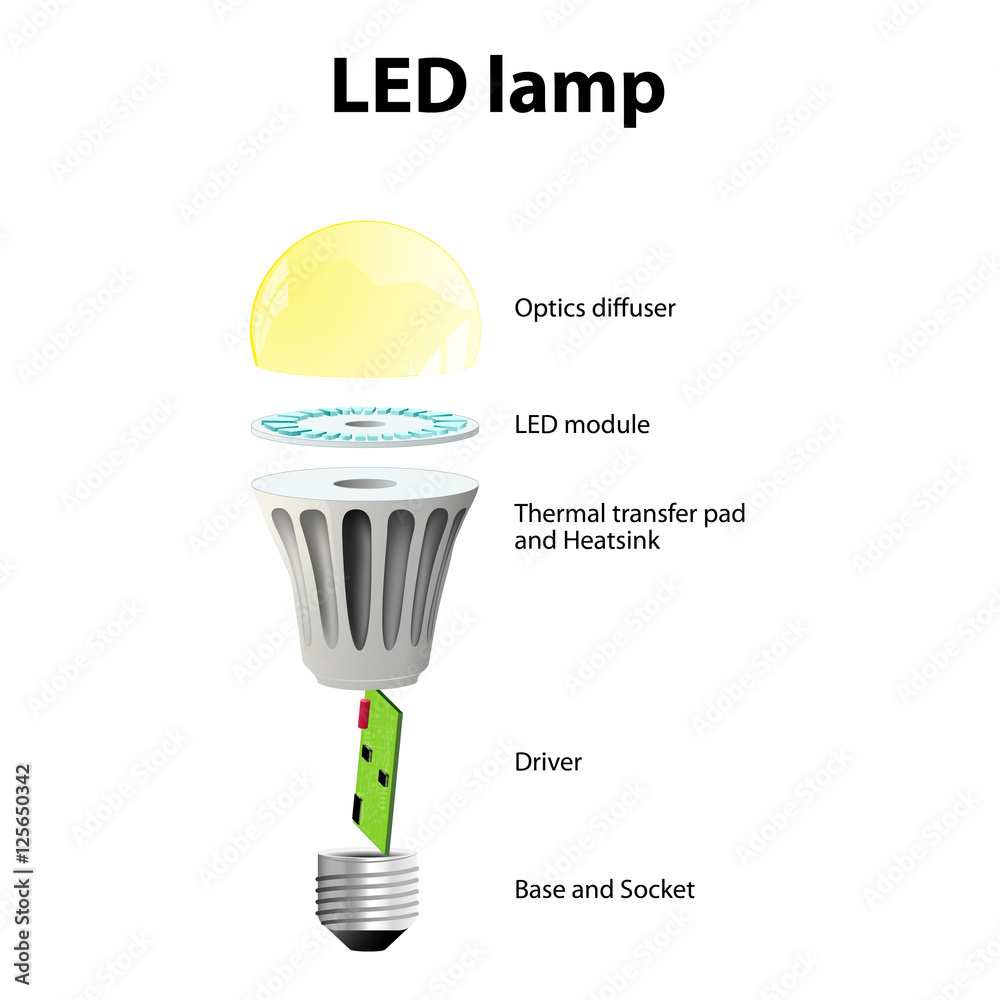 Basic Components of LED Light Bulbs Stock Vector | Adobe Stock