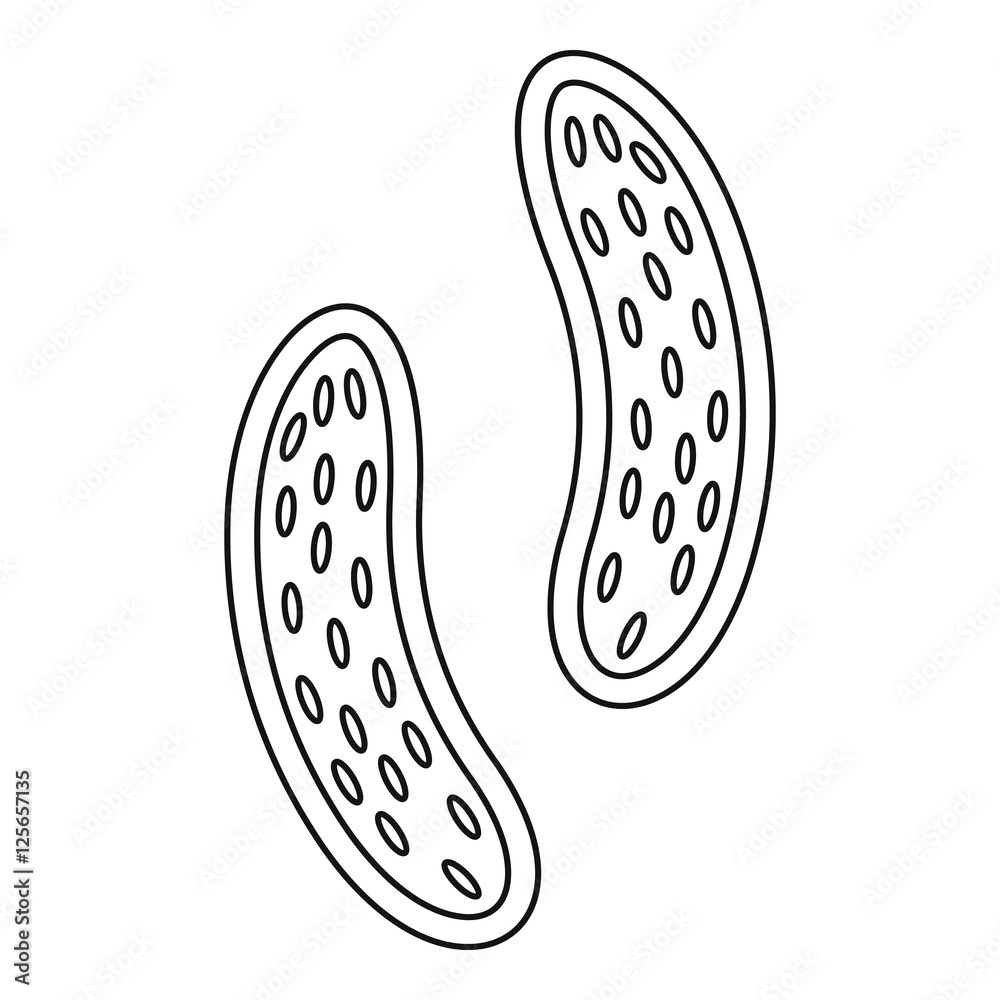 Epithelial cell icon. Outline illustration of epithelial cell vector ...