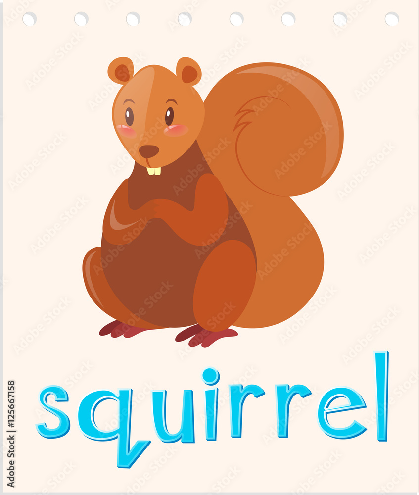 Flashcard with word squirrel Stock Vector | Adobe Stock