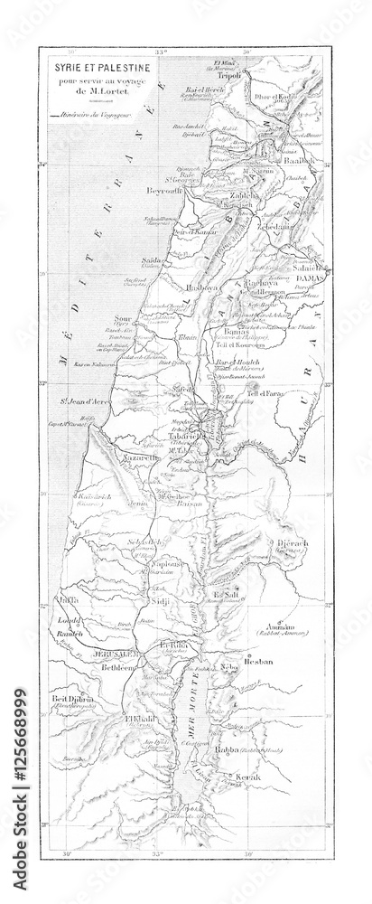 Map of Syria and Palestine, vintage engraving Stock Illustration ...