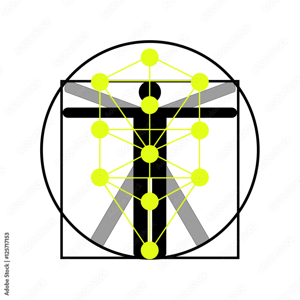 The Kabbalah Tree of Life and Leonardo da Vinci vitruvian man vector ...