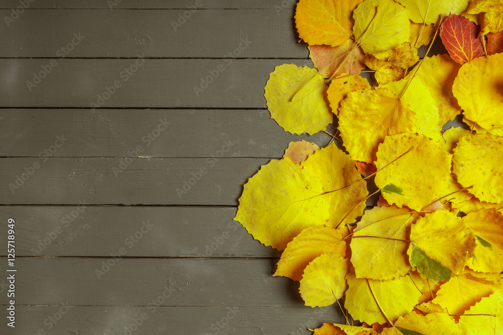 Colorful autumn leaves over wood background with copy space Stock Photo ...
