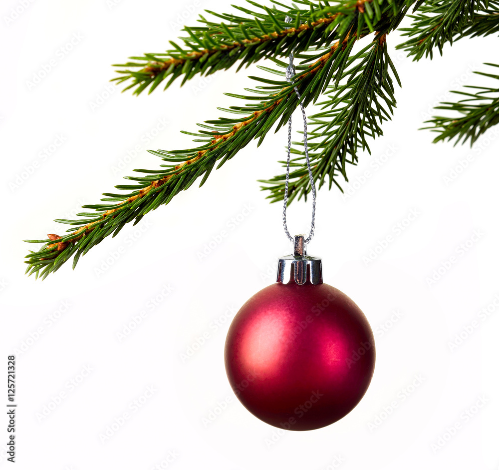 christmas ball hanging in branch isolated on white Stock Photo | Adobe ...