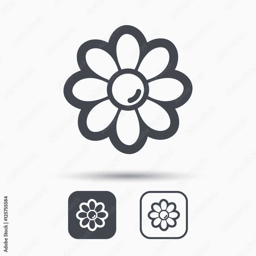 Flower icon. Florist plant with petals symbol. Square buttons with flat ...
