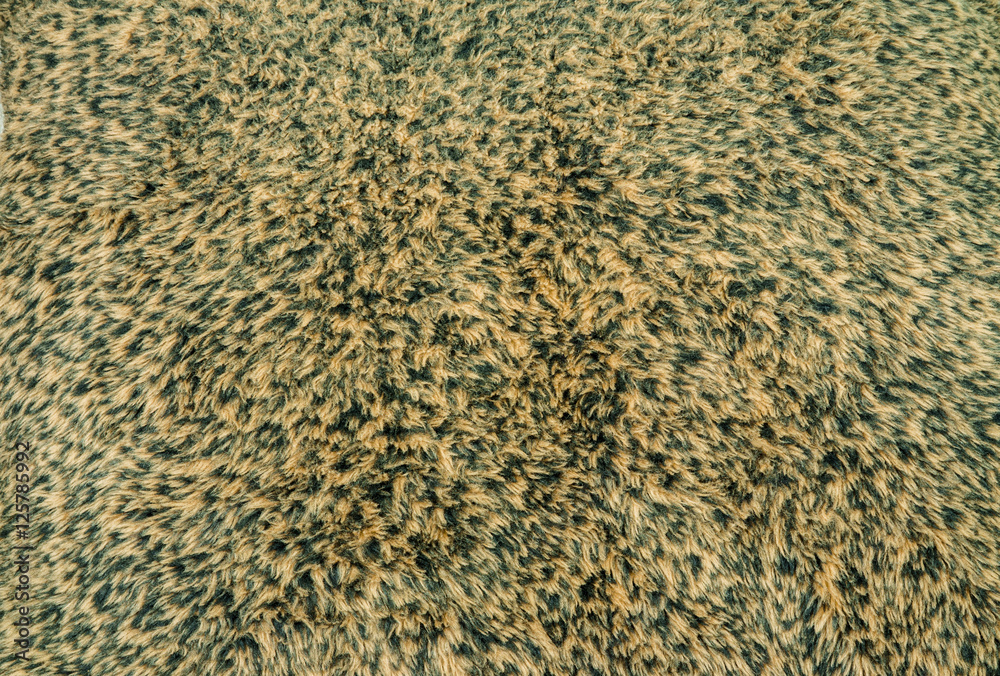 leopard skin texture background Stock Photo | Adobe Stock