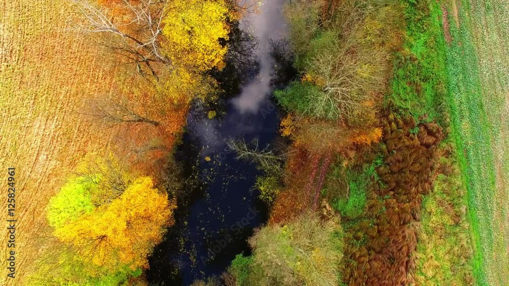 Camera flight over Radbuza river. Colorful autumn on Czech countryside ...