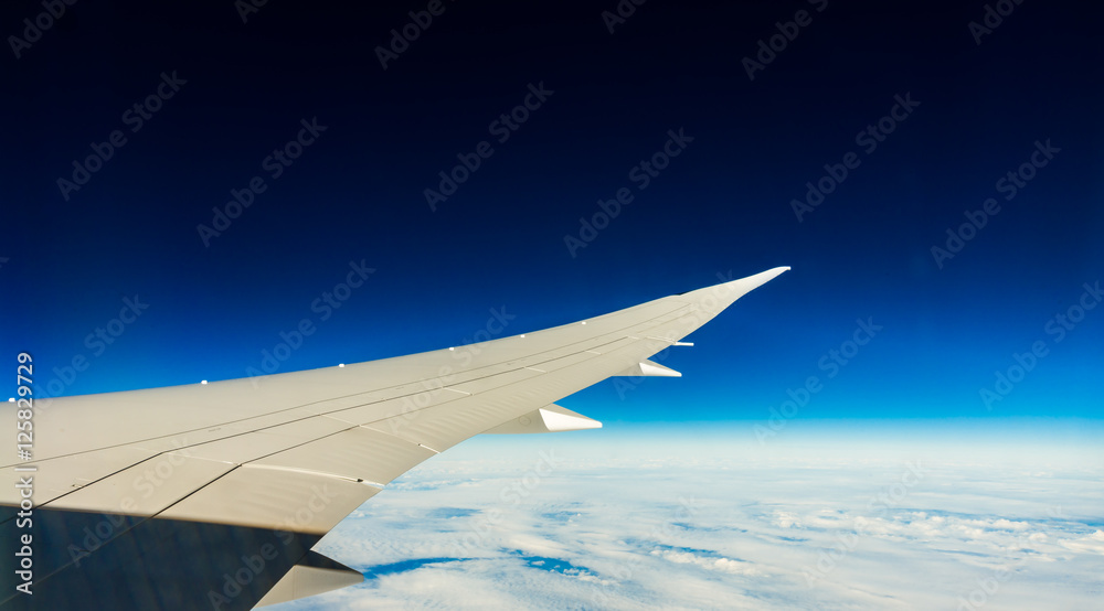 Airplane Wing Dimensions