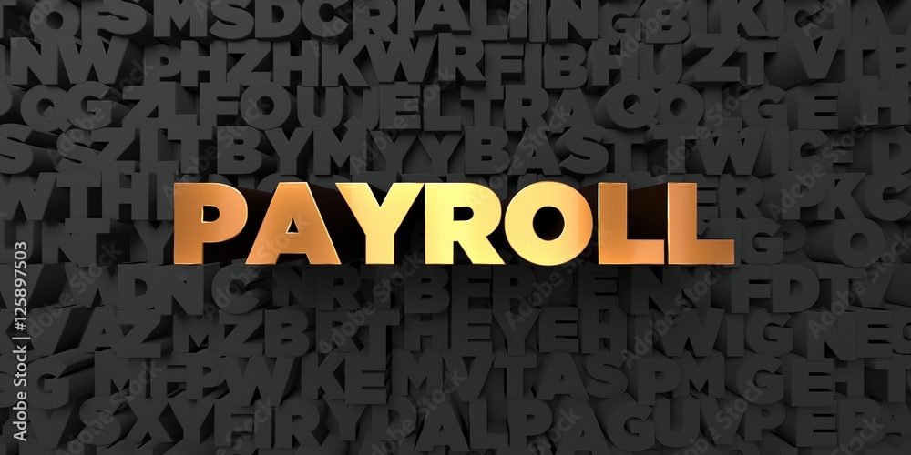 3d Payroll