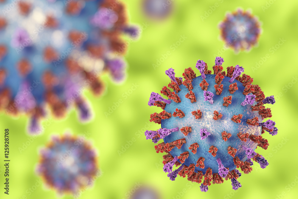 Respiratory syncytial virus, 3D illustration which shows structure of ...