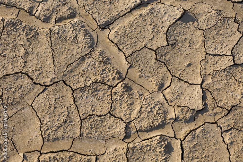 Dry land, cracked ground, without water. Stock Photo | Adobe Stock