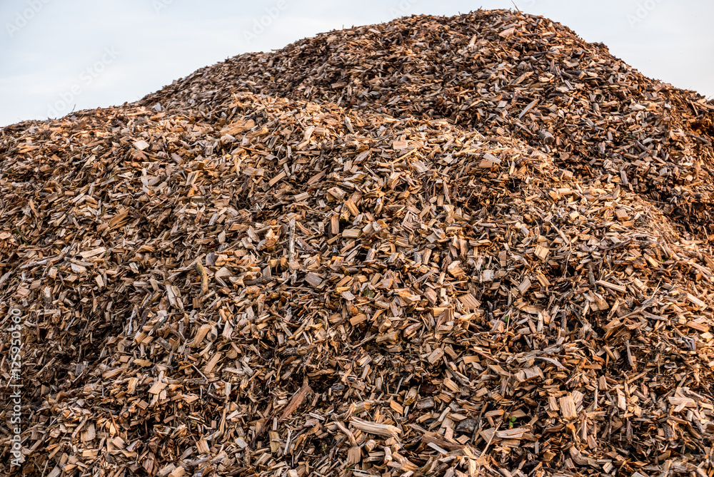 Frisch gehäckseltes Holz Stock Photo | Adobe Stock