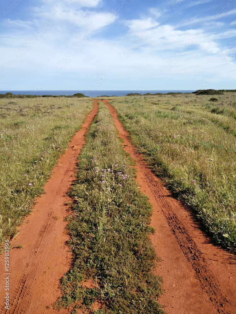 Long dirt road Stock Photo | Adobe Stock