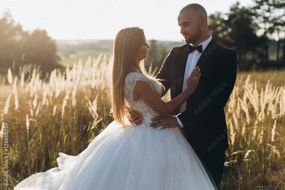 Foto Stock Stylish bride and bearded muscular groom posing on the ...
