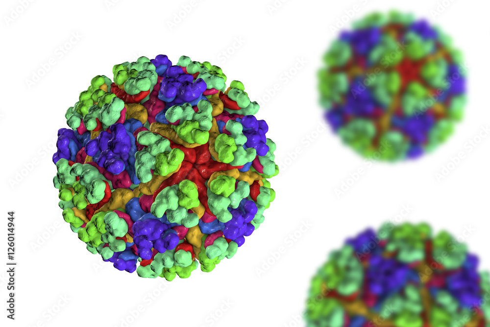 Illustrazione Stock Mayaro virus 3D illustration. Mosquitoborne virus ...