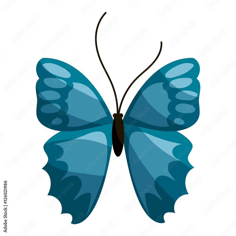 Blue butterfly icon. Cartoon illustration of blue butterfly vector icon ...
