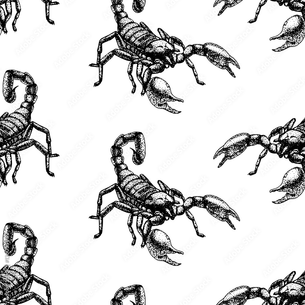 Hand drawn seamless pattern with scorpion. Background design. Stock ...