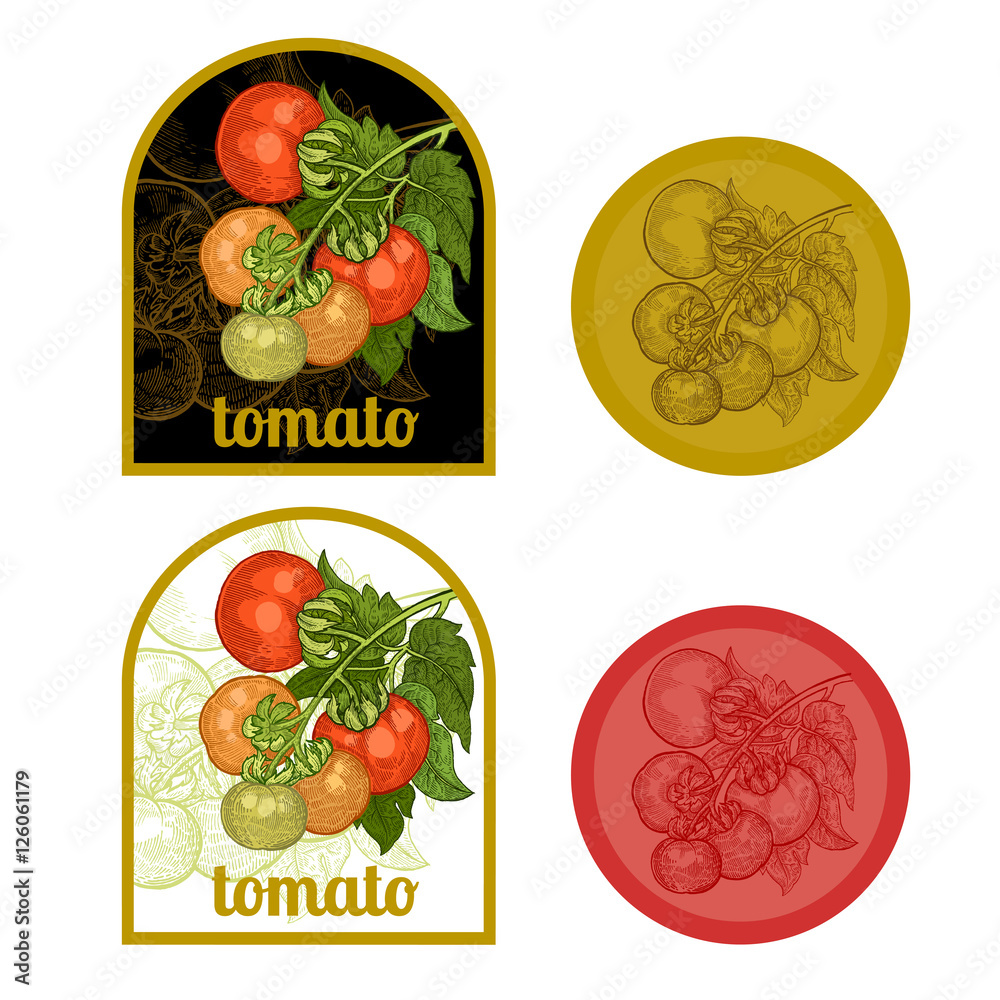 Set of labels with a picture of a tomato. Stock Vector | Adobe Stock