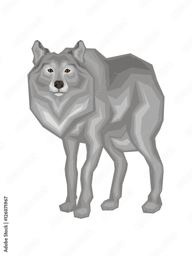 The big grey wolf. Vector image of a predatory animal. Isolated on a ...
