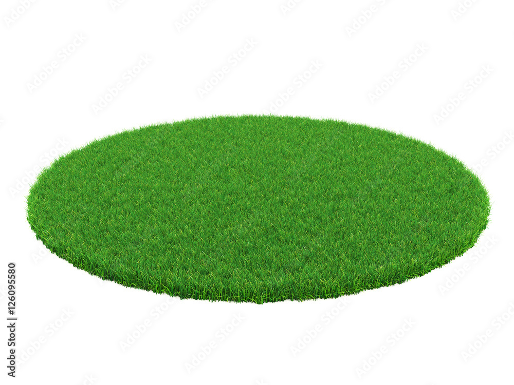 Detail of a field of green grass. Grass arena isolated on white ...