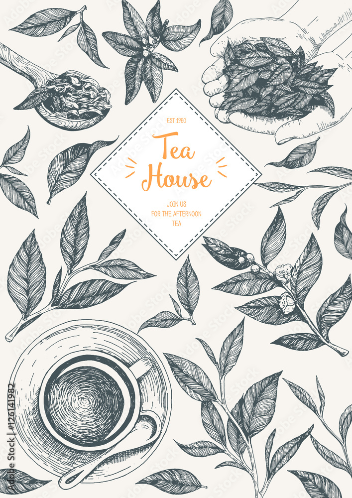 Tea Shop vector illustration. Vector card design with tea. Tea house ...