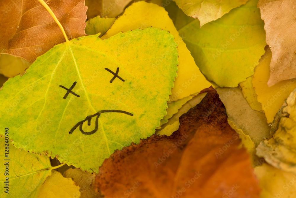 Yellow leaf with a picture of a sad face on the background of fallen ...