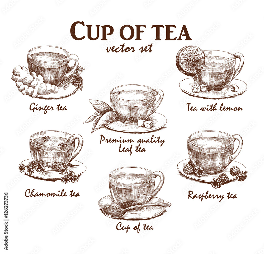 Vintage Tea Cups Vector