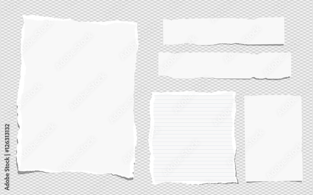 Pieces of white torn note, notebook paper sheets stuck on grey ...