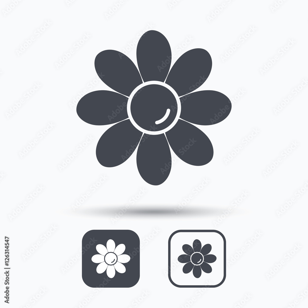 Flower icon. Florist plant with petals symbol. Square buttons with flat ...