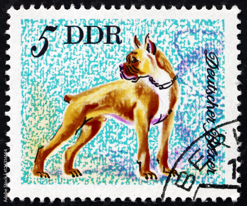 Postage stamp Germany 1976 Boxer, Breed of Dog Photos | Adobe Stock