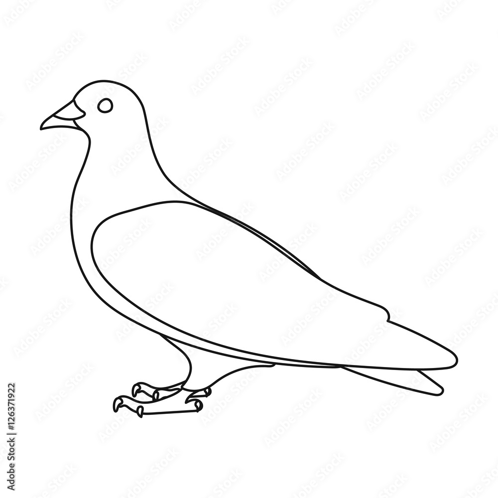 Pigeon icon in outline style isolated on white background. Bird symbol ...