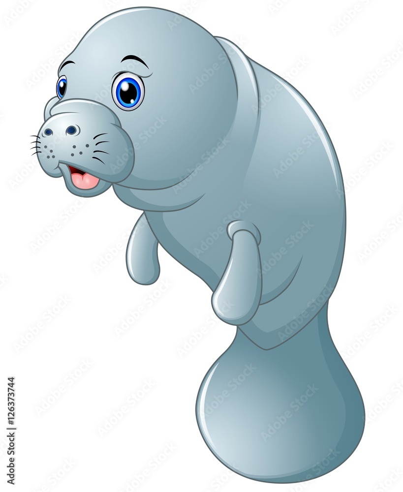 Cute cartoon manatee on white background Stock Vector | Adobe Stock