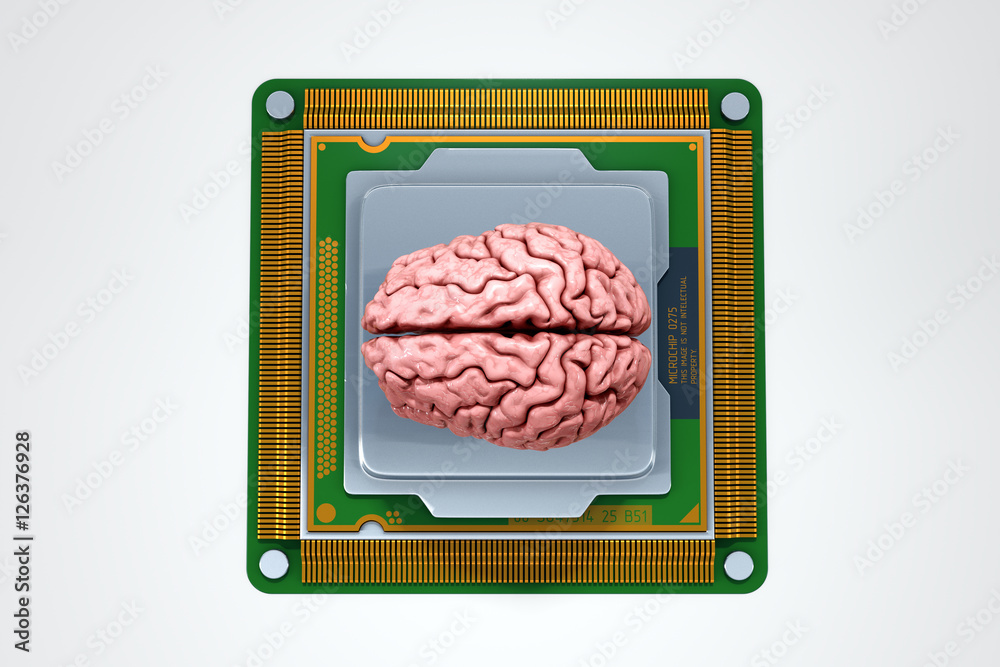 Human brain with computer processor isolated on white. Concept 3 Stock ...