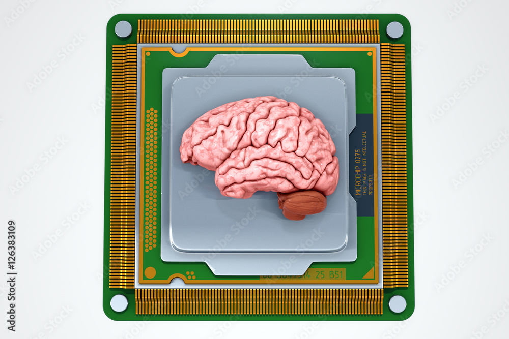 Human brain with computer processor isolated on white. Concept 3 Stock ...