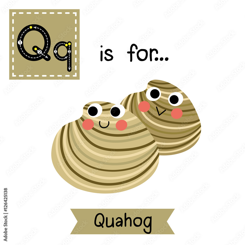 Q letter tracing. Quahog. Cute children zoo alphabet flash card. Funny ...