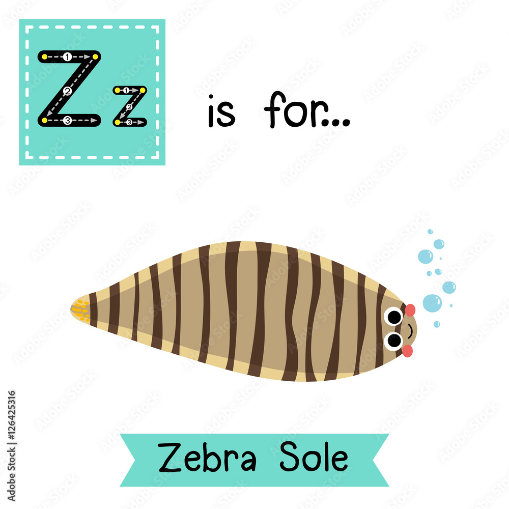 Z letter tracing. Zebra Sole. Cute children zoo alphabet flash card ...