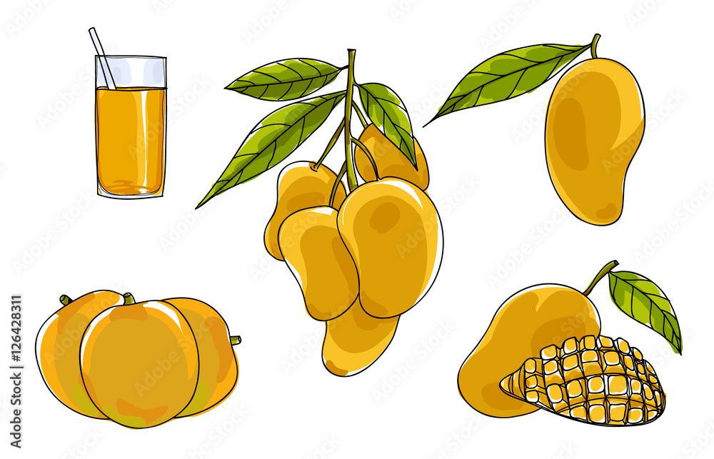 vector mango set hand drawn cute art illustration Stock Vector | Adobe ...