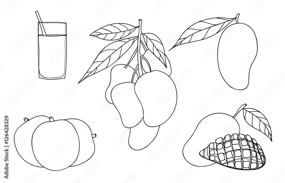 vector mango set hand drawn cute line art illustration Stock Vector ...