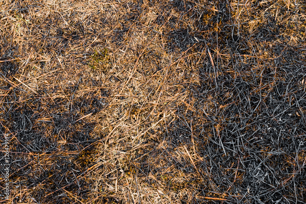 Ash burned dry grass land ground texture background carbon CO2 Stock ...
