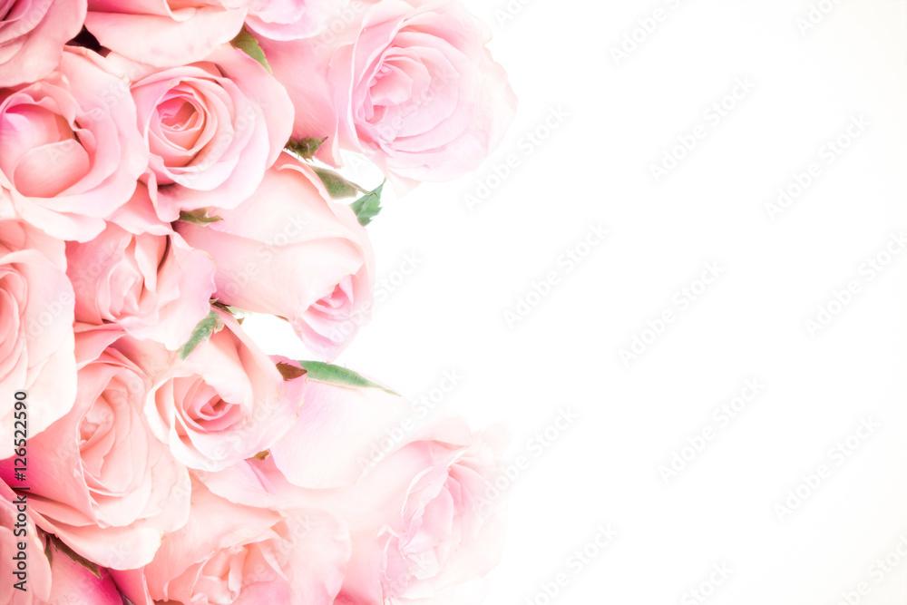 close up sweet light pink on white background with copy space Stock ...