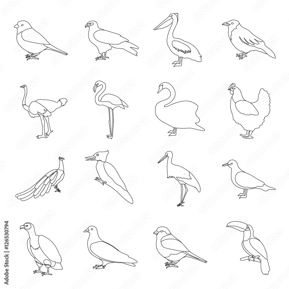 Bird set icons in outline style. Big collection of bird vector symbol ...